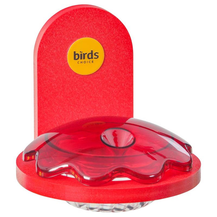Birds Choice Hummingbird 3.5 oz Plastic Window Bird Feeder – The ...